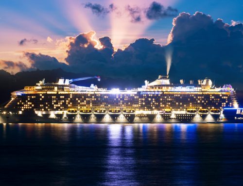 MSC Seashore Cruise Ship: Overview and Things to Do |Safe Cruise Parking